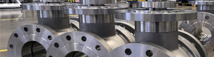 Home - CRANE ChemPharma & Energy